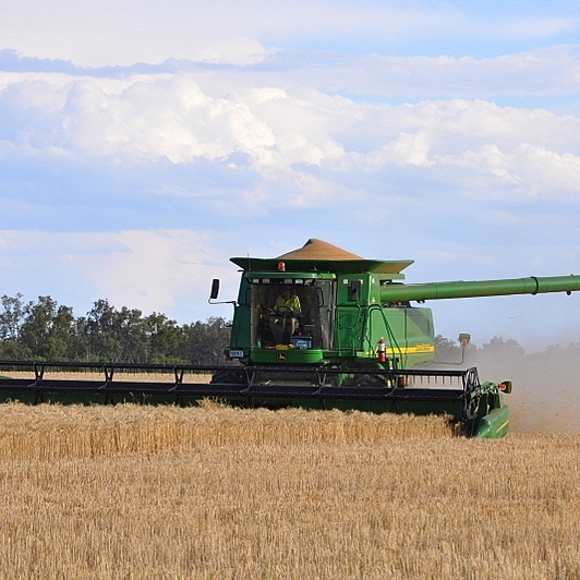 Farming - Fletcher International Group